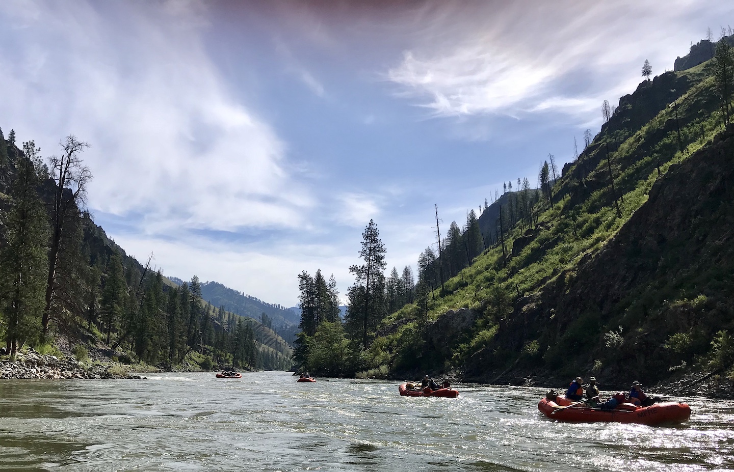 Middle Fork River Expeditions, Middle Fork Salmon River Blog